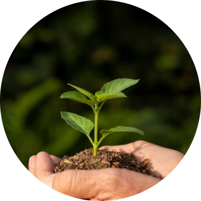 Theja Technologies PVT LTD.